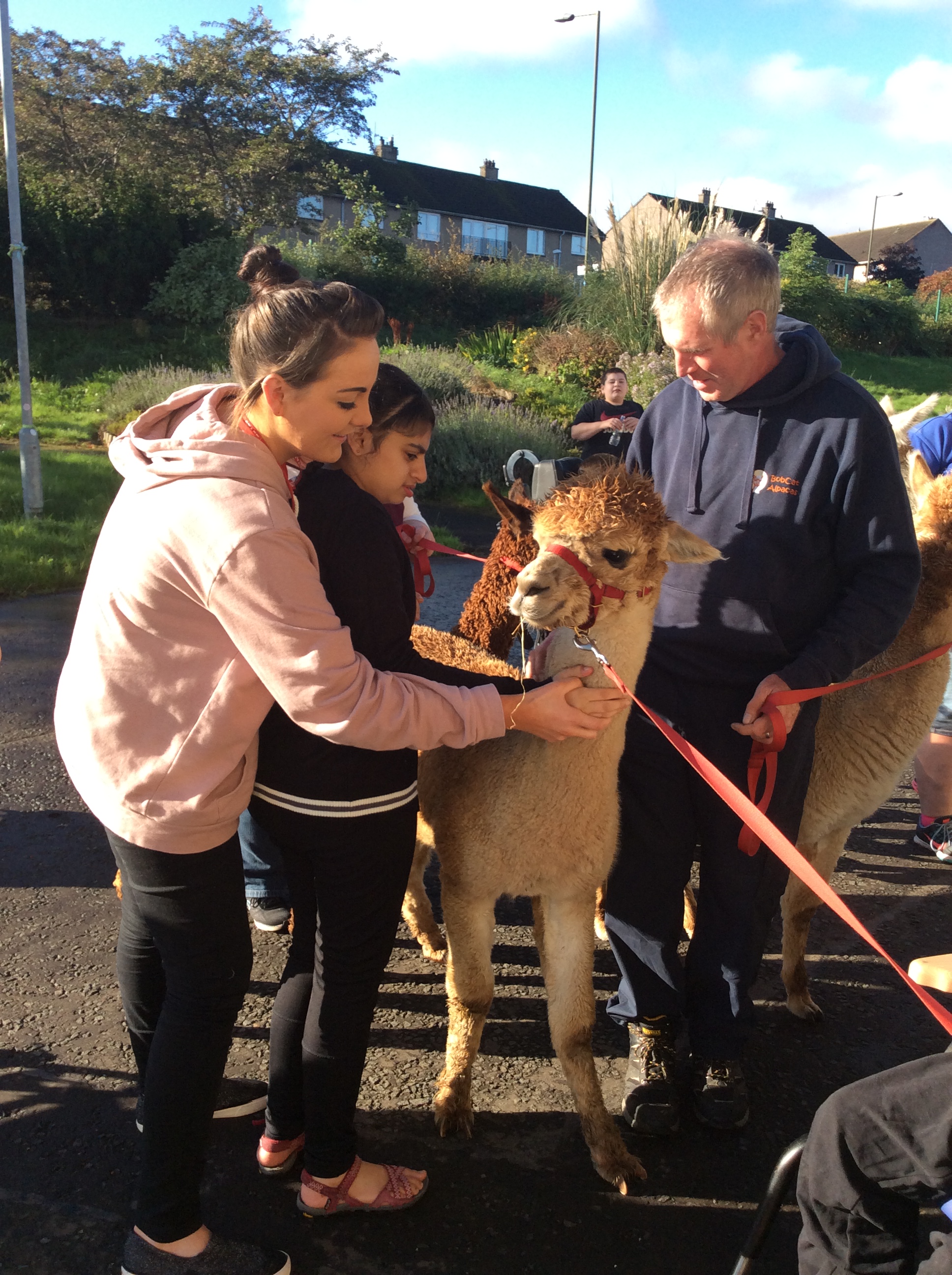 Furry Friends Join us! | Oaklands School